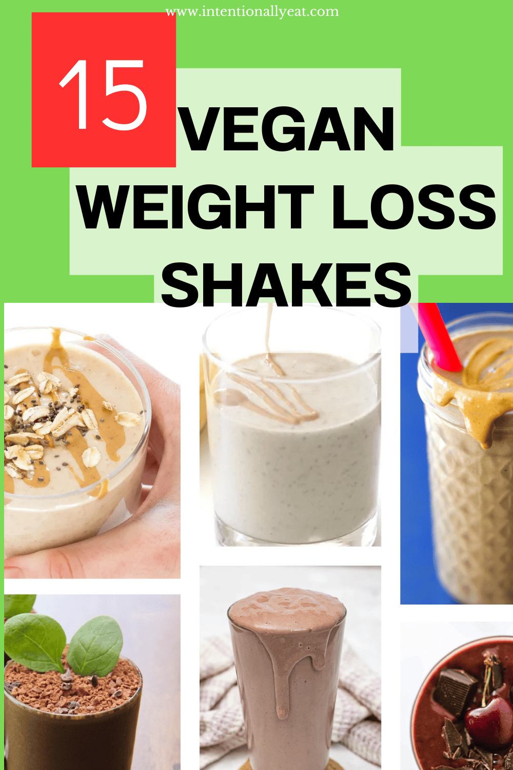 15 Best Vegan Weight Loss Shakes - Intentionally Eat